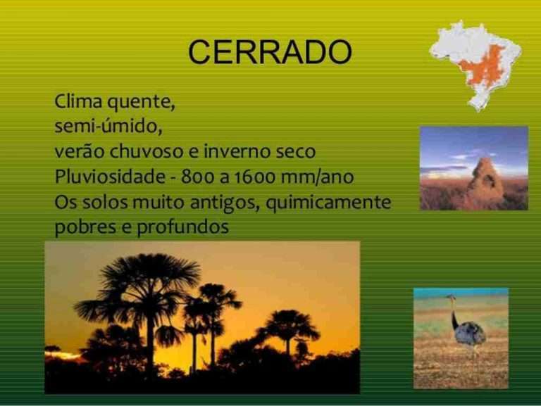 Clima - Serra do Roncador - Cerrado é o Tropical Sazonal