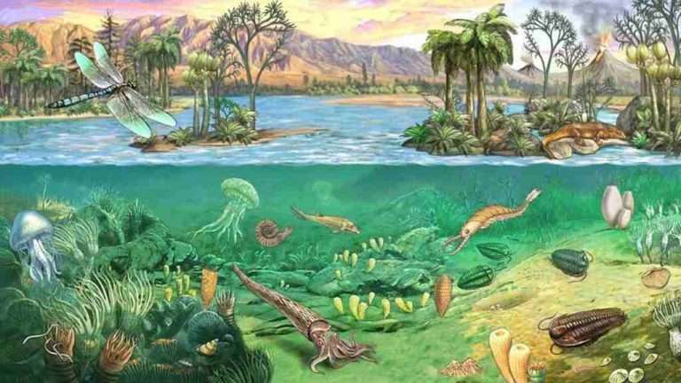 Período Ordoviciano - Serra do Roncador